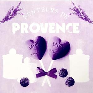 Provence obrazy | FAVI.cz