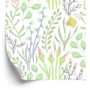 Tapeta Na Zeď Polní Rostliny | FAVI.cz