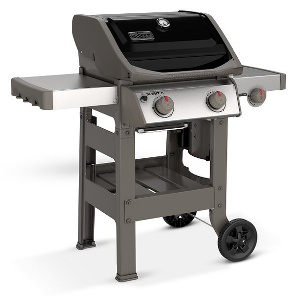 Weber Plynový gril Spirit II E-220 GBS | FAVI.cz