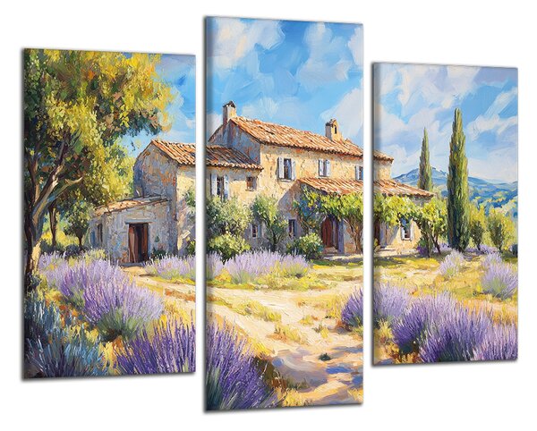 Obraz na plátně Dom v Provence , třídílný 4447CX | FAVI.cz