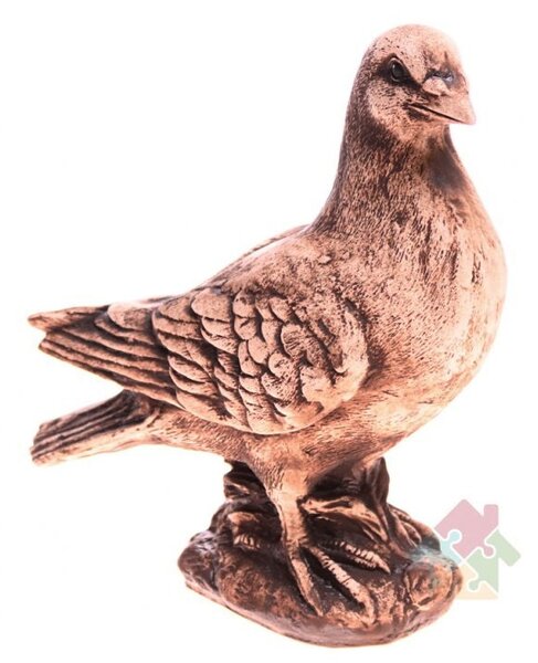 DOMÁCÍ HOLUB | FAVI.cz