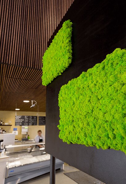 Flexi panel z islandského mechu - May green 2ks 100x60 | FAVI.cz