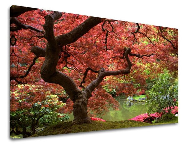 Obraz na stěnu STROMY ST001E11 | FAVI.cz