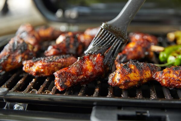 Weber Plynový cestovní gril Traveler Compact | FAVI.cz