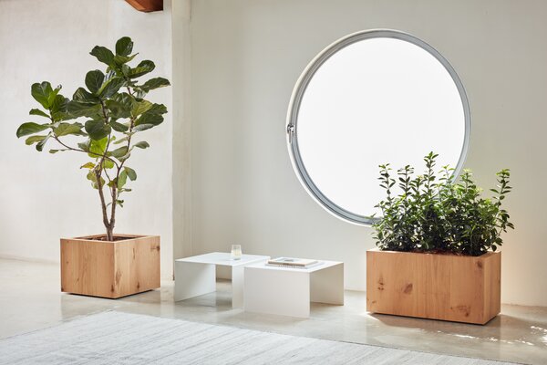 Hobby Flower - Samozavlažovací květináč TAMMI obdélníkový nízký | FAVI.cz