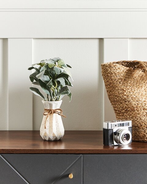 Umělá rostlina PEPEROMIA ARGYREIA 30 cm Zelená | FAVI.cz