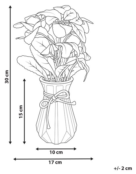 Umělá rostlina PEPEROMIA ARGYREIA 30 cm Zelená | FAVI.cz
