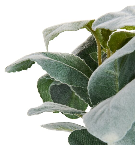 Umělá rostlina PEPEROMIA ARGYREIA 30 cm Zelená | FAVI.cz