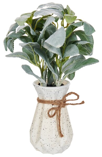 Umělá rostlina PEPEROMIA ARGYREIA 30 cm Zelená | FAVI.cz