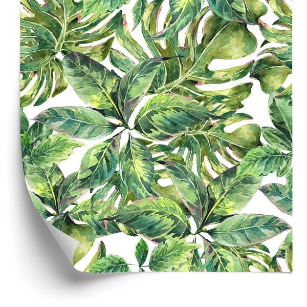 Tapeta Na Zeď Krásné Listy Malované Akvarelem | FAVI.cz