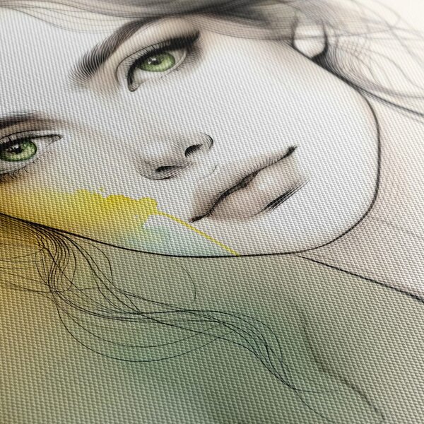 Obraz jemné linie a barvy | FAVI.cz